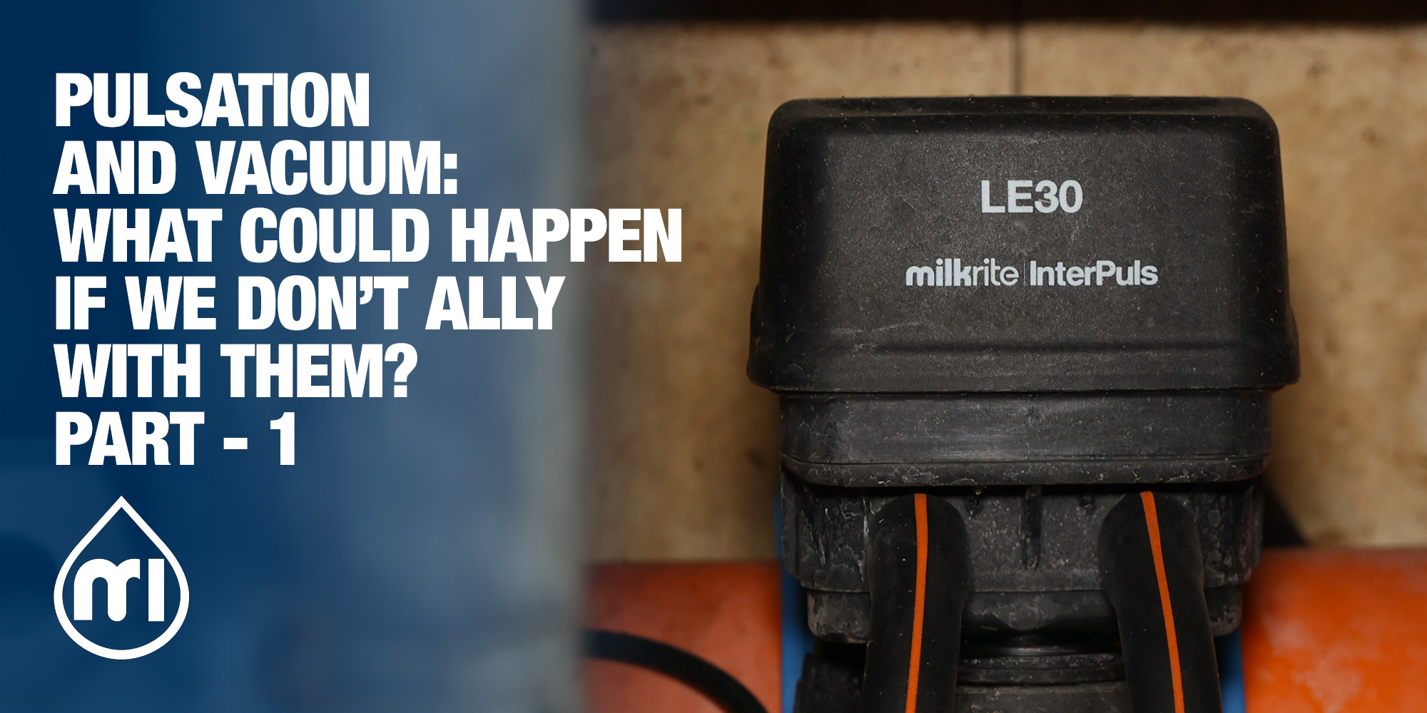 Home page | Homepage